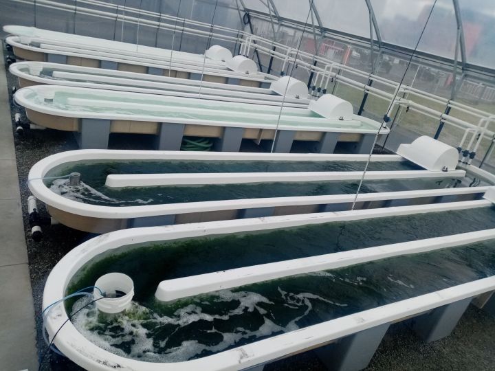 HRAP Raceway Aquaculture Tanks - Fresh by Design