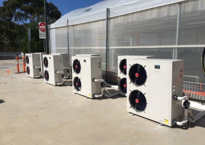 Oasis Super Chill (Heat and Chill) - Fresh by Design