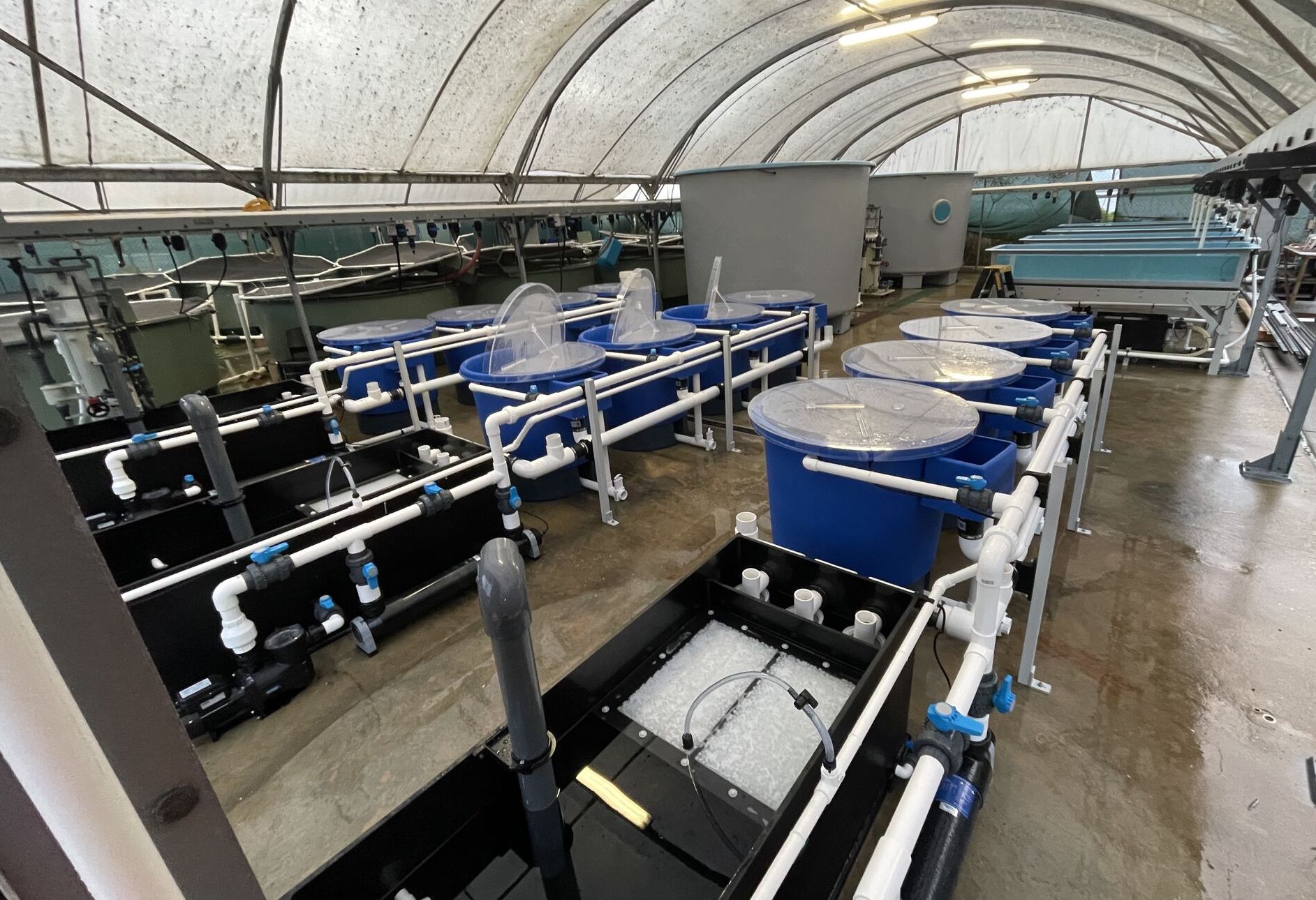 Deakin University Queenscliff Marine Sciences Centre Upgrade - Fresh by ...