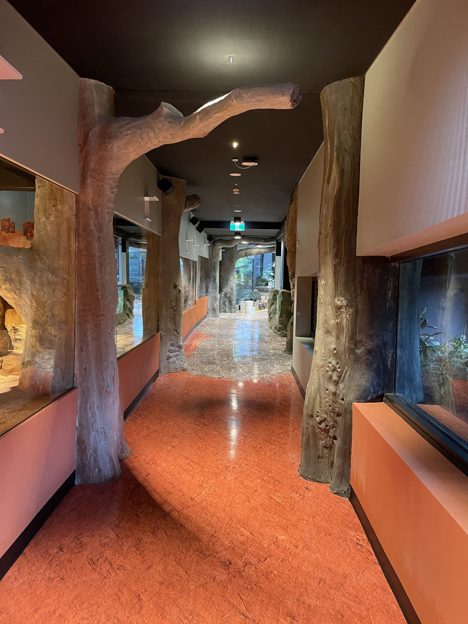 Taronga Zoo Sydney, Amphibian and Reptile Exhibits - Fresh by Design