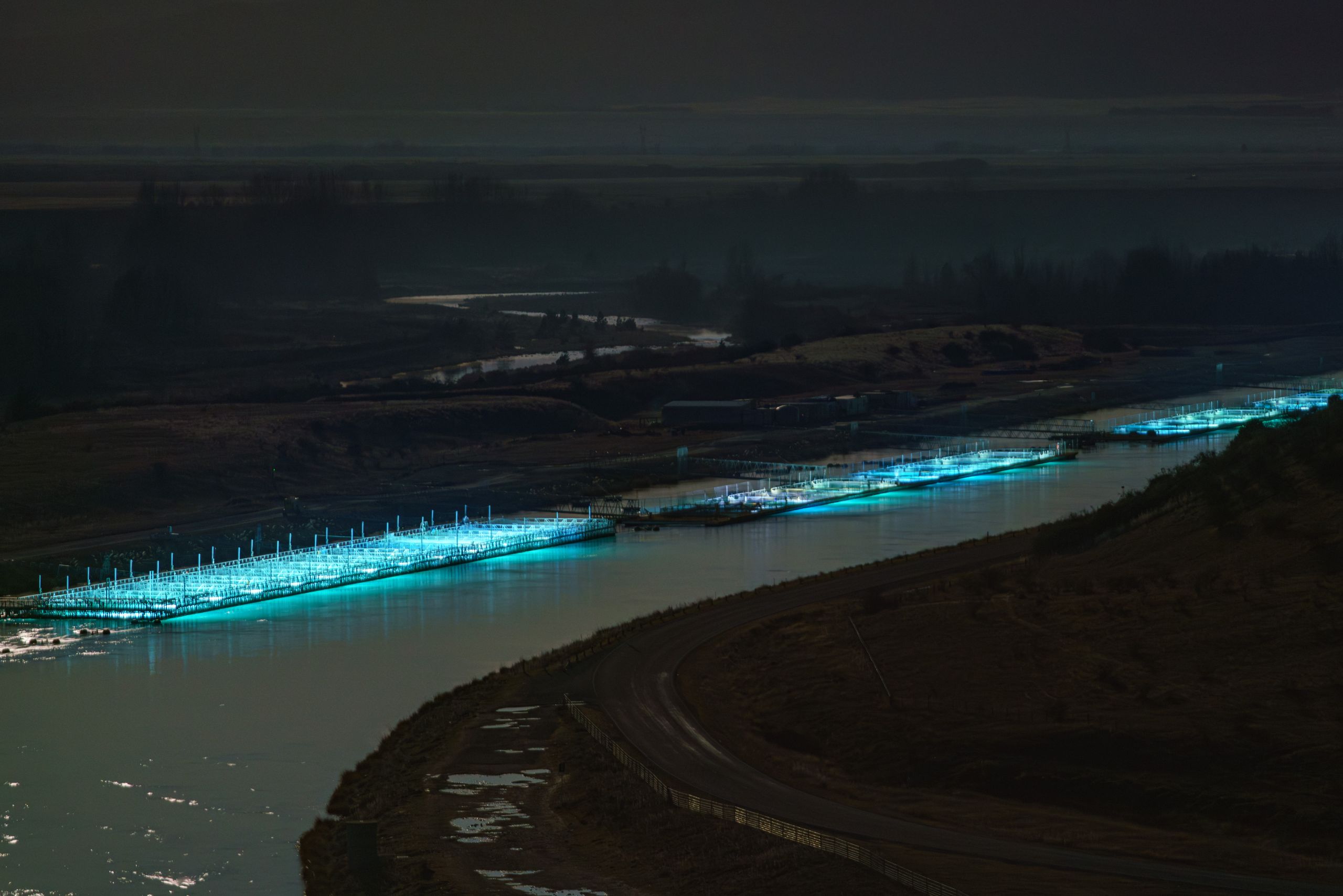 Southern Salmon Lights - Fresh by Design