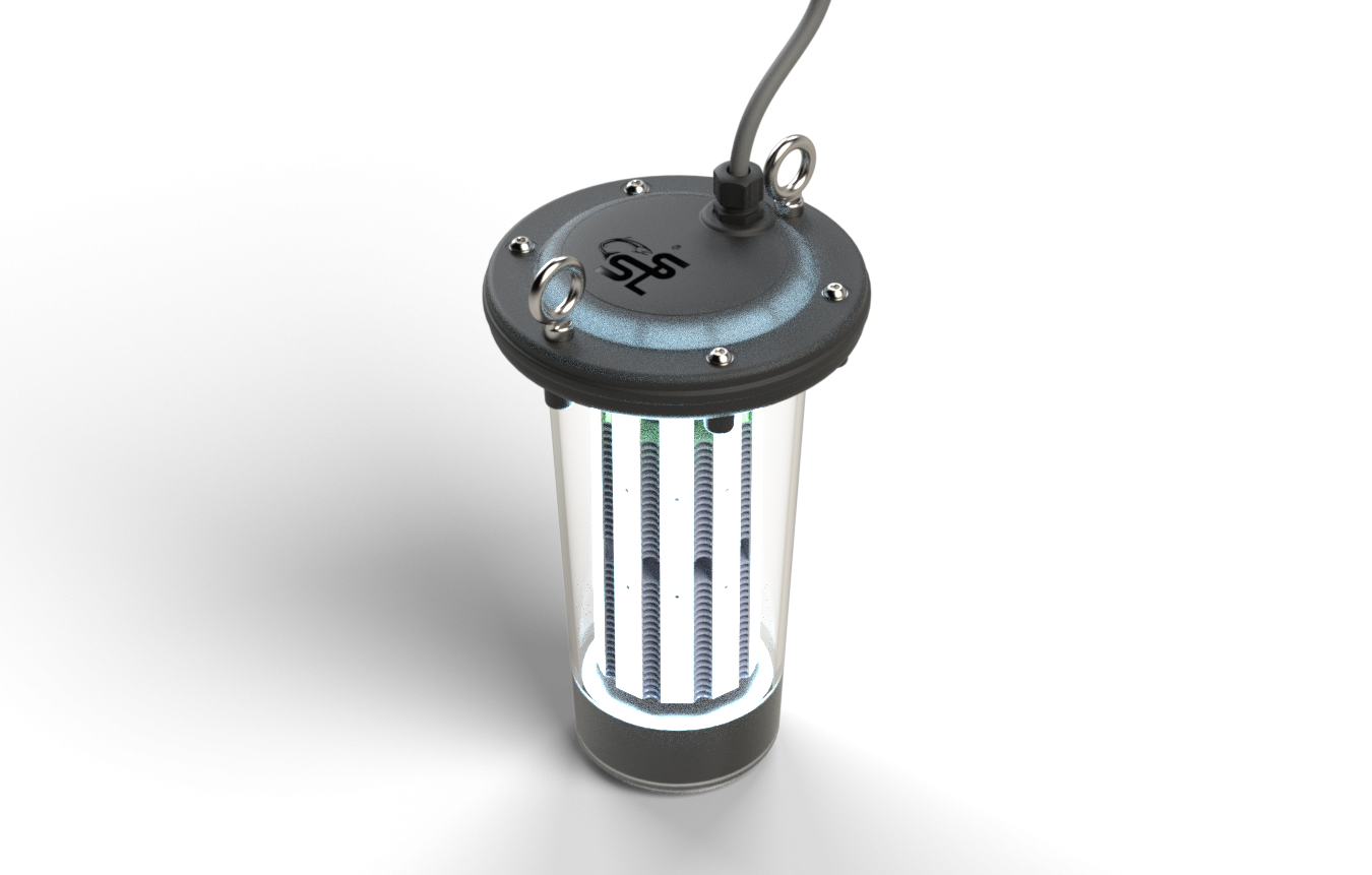 Southern Salmon Lights - Fresh by Design